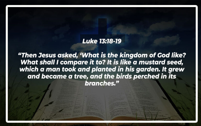 33 Notable Bible Verses About Seeds - Bible Repository