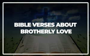 35+ Important Bible Verses About Brotherly Love - Bible Repository