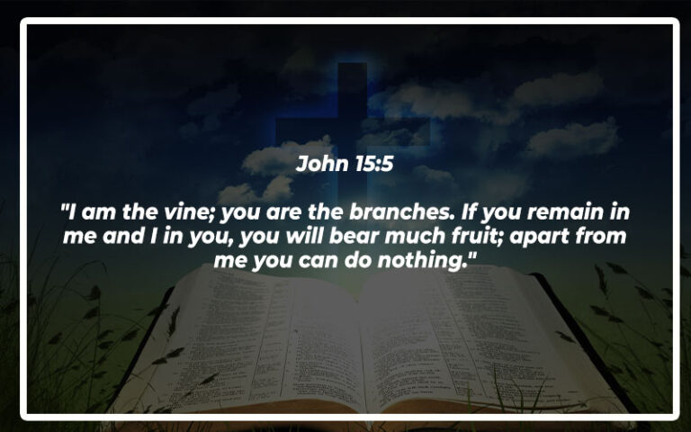 35 Important Bible Verses About Bearing Fruit - Bible Repository