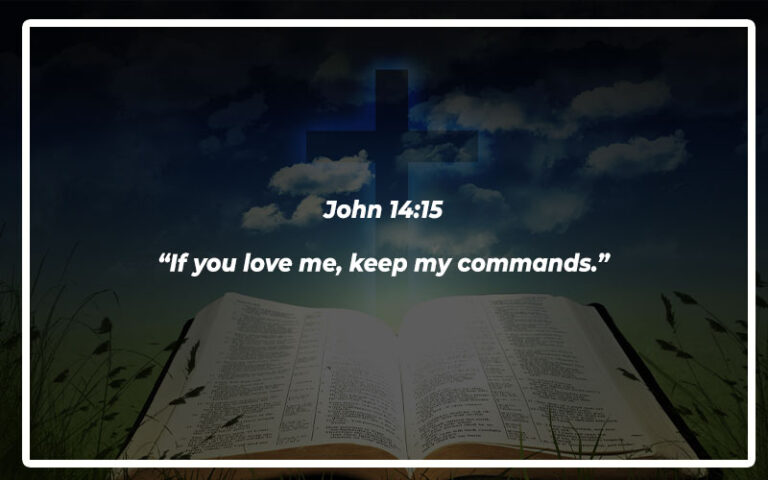 35 Important Bible Verses About Conviction - Bible Repository