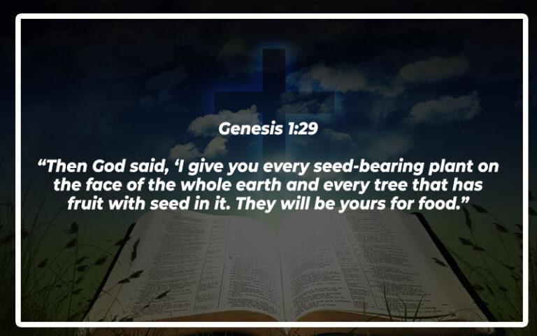 35 Notable Bible Verses About Gardening - Bible Repository