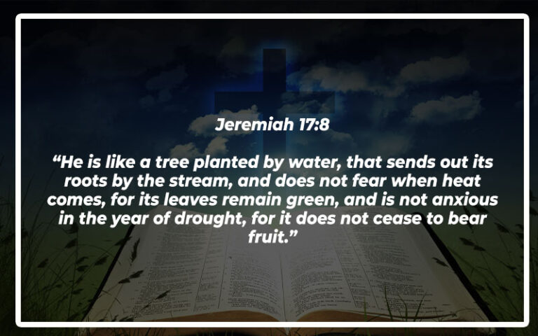 35 Important Bible Verses About Roots - Bible Repository