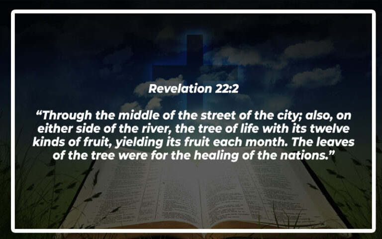 35 Important Bible Verses About Roots - Bible Repository