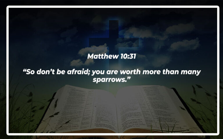 35 Notable Bible Verses About Value – Bible Repository