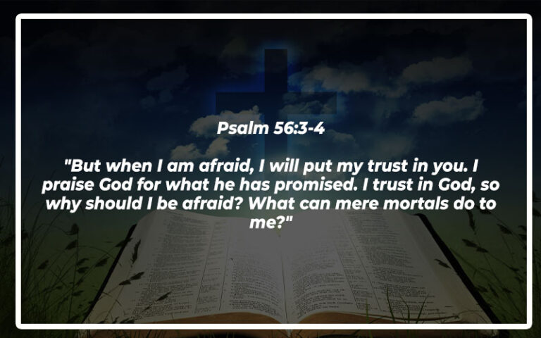 35 Important Bible Verses About Boldness - Bible Repository