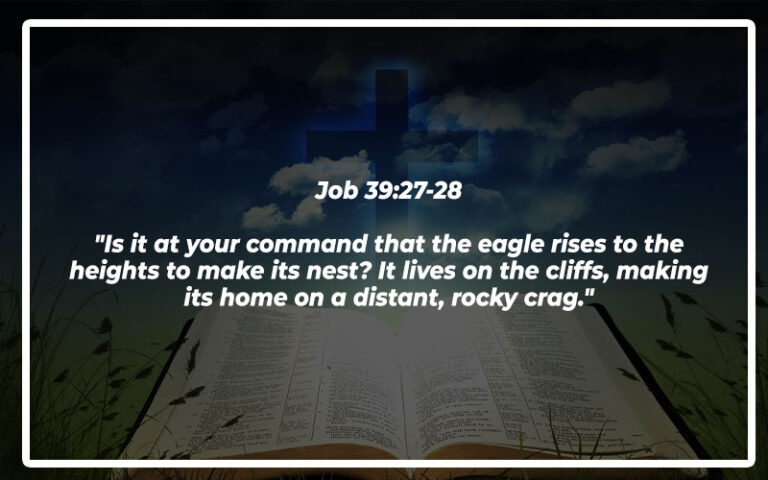 35 Bible Verses About Eagles (Explained) - Bible Repository