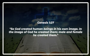 35 Bible Verses About Equality (Explained) - Bible Repository