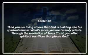 35 Bible Verses About Houses (Explained) - Bible Repository