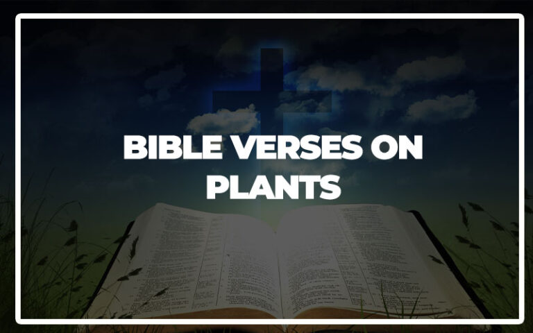 35 Bible Verses About Plants (Explained) - Bible Repository