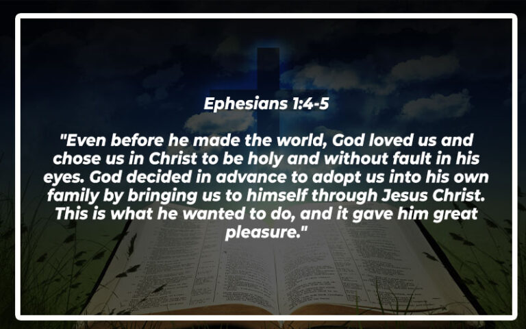 35 Bible Verses About Predestination (Explained) - Bible Repository