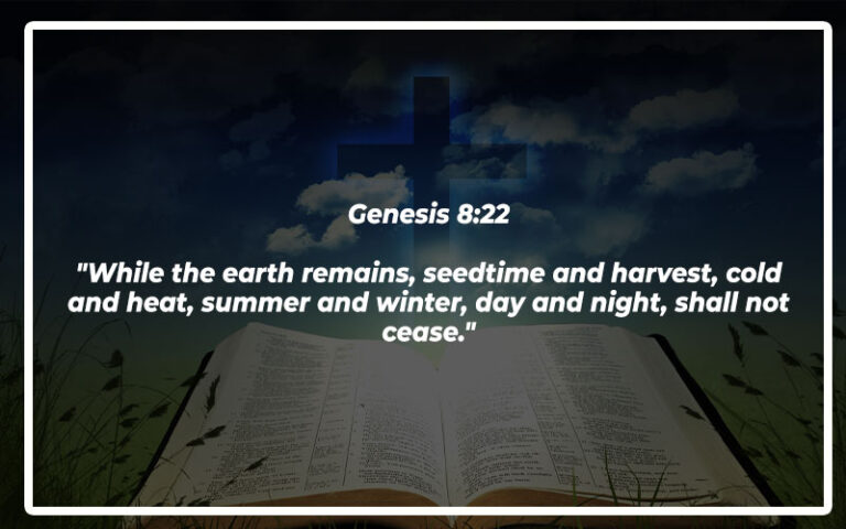 35 Important Bible Verses About Seasons - Bible Repository