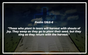 35 Bible Verses About Seasons Changing (Explained) - Bible Repository