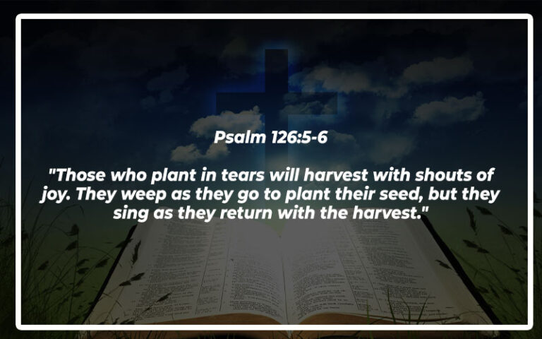 35 Bible Verses About Seasons Changing (Explained) - Bible Repository