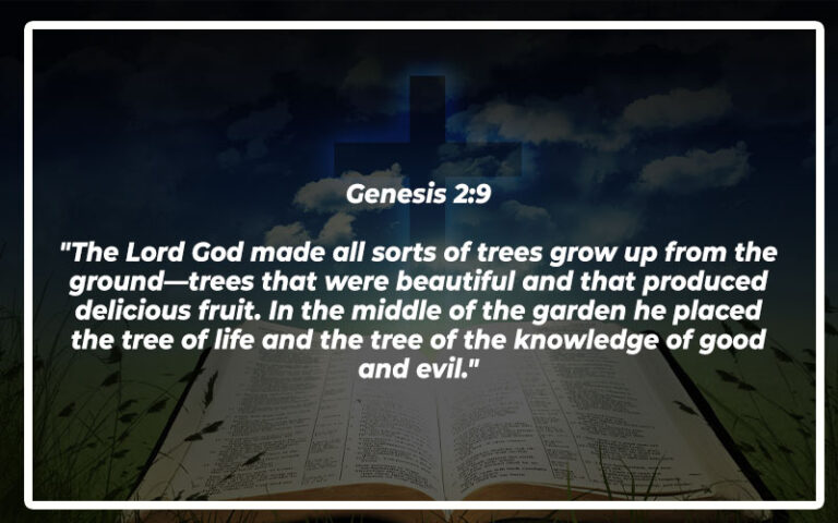35 Important Bible Verses About Trees - Bible Repository