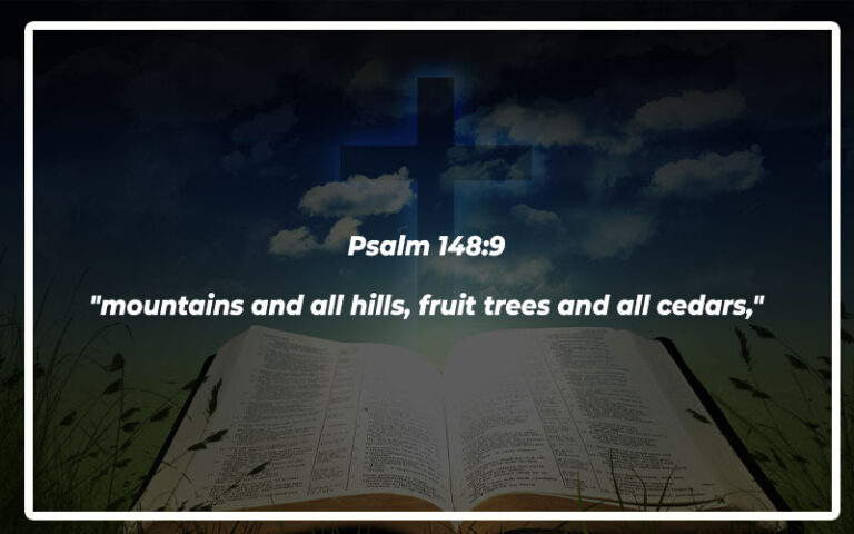 35 Important Bible Verses About Trees - Bible Repository