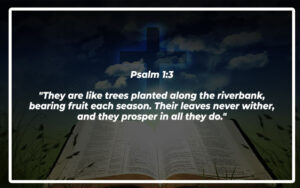 35 Bible Verses About Plants (Explained) - Bible Repository