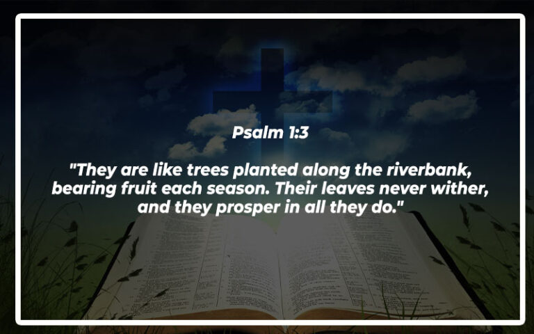 35 Bible Verses About Plants (Explained) - Bible Repository