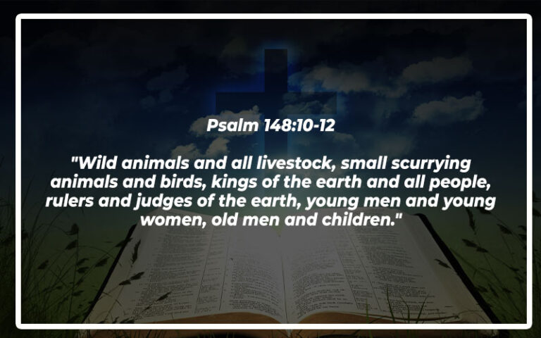 35 Bible Verses About Animals in Heaven (Explained) - Bible Repository