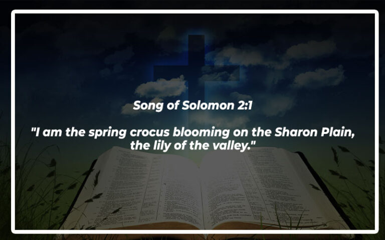 35 Bible Verses About Roses (Explained) - Bible Repository