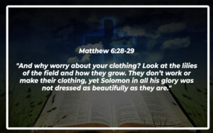 35 Bible Verses About Roses (Explained) - Bible Repository