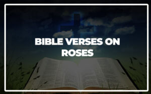 35 Bible Verses About Roses (Explained) - Bible Repository
