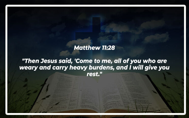 35 Bible Verses About Summer (Explained) - Bible Repository