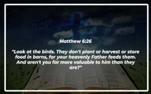 30 Bible Verses About Birds Praising God (Explained) - Bible Repository
