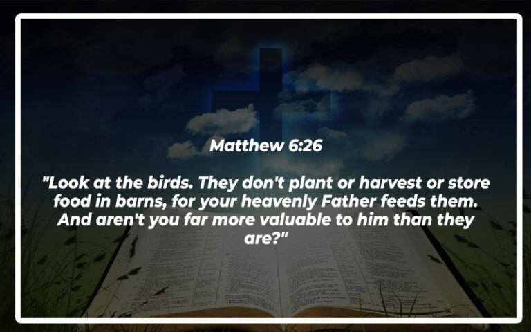 30 Bible Verses About Birds Praising God (Explained) - Bible Repository