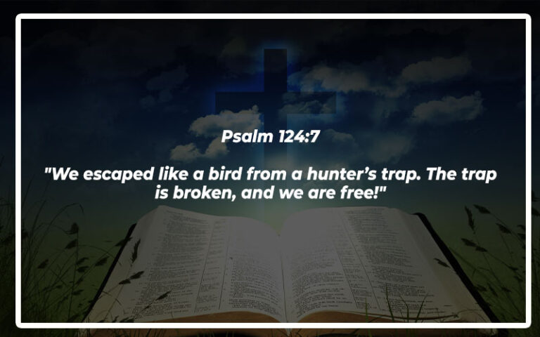 30 Bible Verses About Birds Praising God (Explained) – Bible Repository