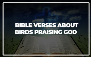 30 Bible Verses About Birds Praising God (Explained) - Bible Repository