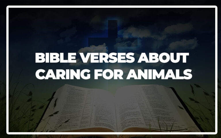 35 Bible Verses About Caring For Animals (Explained) - Bible Repository