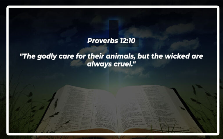 35 Bible Verses About Caring For Animals (Explained) - Bible Repository