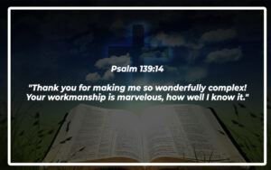 35 Bible Verses About Comparing Yourself to Others (Explained) - Bible ...