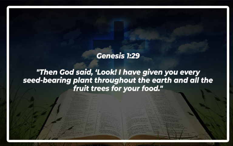 35 Bible Verses About Cooking (Explained) - Bible Repository