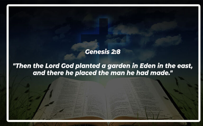 35 Bible Verses About Gardens (Explained) - Bible Repository
