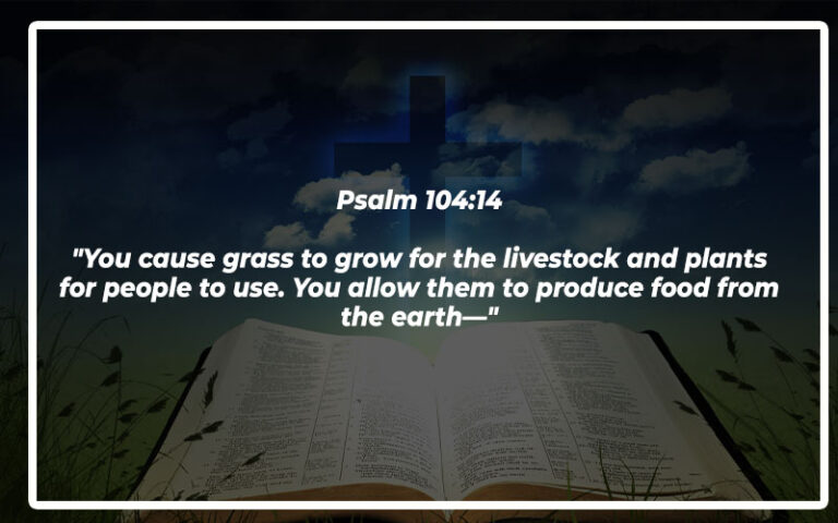 35 Bible Verses About Leaves (Explained) - Bible Repository