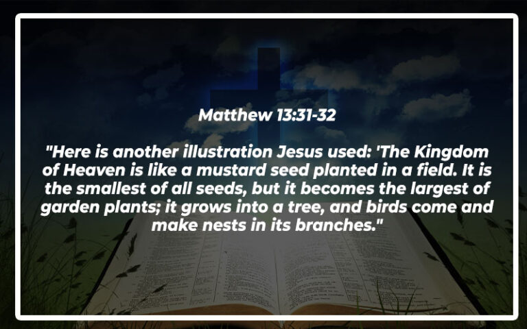 35 Bible Verses About Planting Seeds (Explained) - Bible Repository