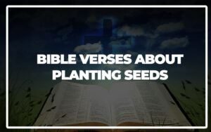 35 Bible Verses About Planting Seeds (Explained) - Bible Repository