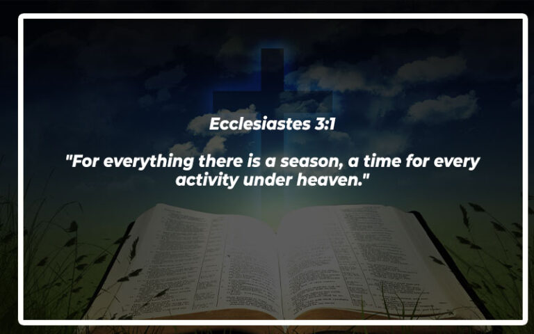 35 Bible Verses About Seasons of Life (Explained) - Bible Repository