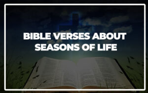 35 Bible Verses About Seasons of Life (Explained) - Bible Repository