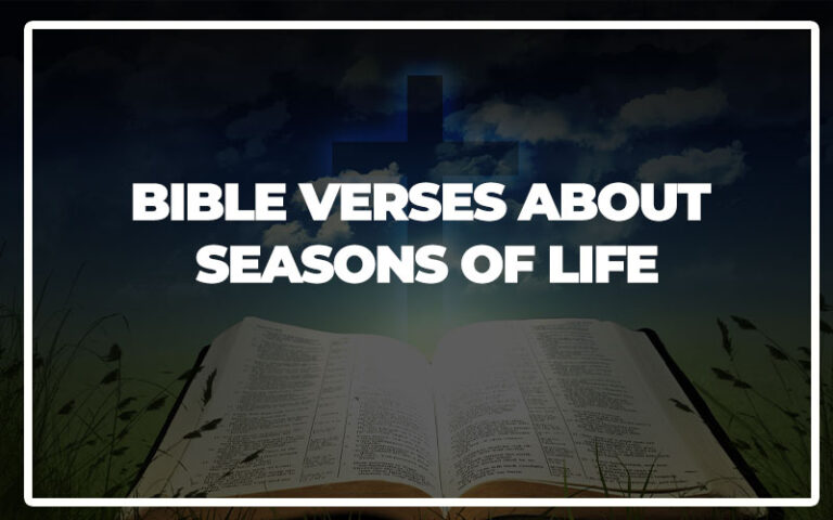 35 Bible Verses About Seasons of Life (Explained) - Bible Repository