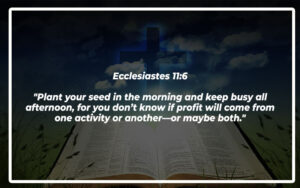 35 Bible Verses About Sowing and Reaping (Explained) - Bible Repository