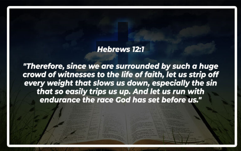 35 Bible Verses About Training (Explained) - Bible Repository