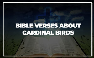 35 Bible Verses About Cardinal Birds - Bible Repository