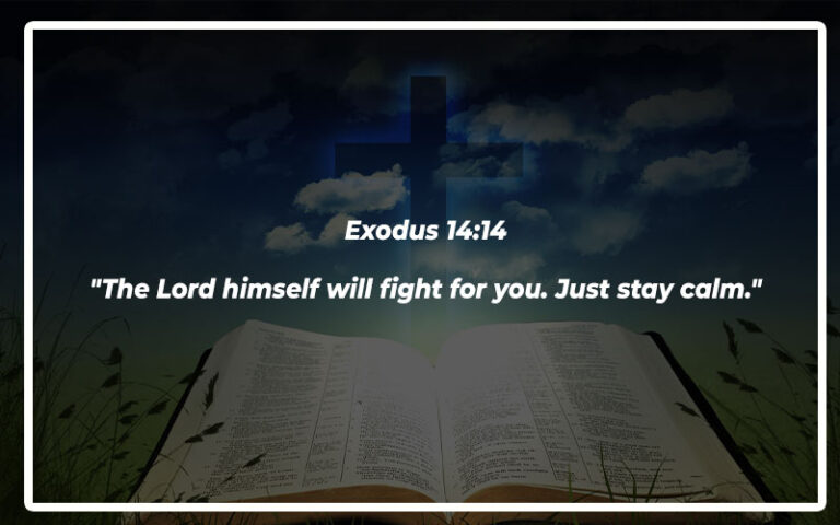 33 Bible Verses About Fighting Back - Bible Repository