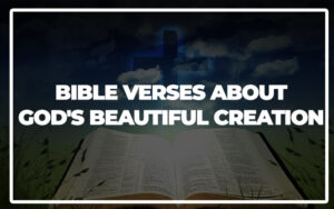 35 Bible Verses About God's Beautiful Creation - Bible Repository