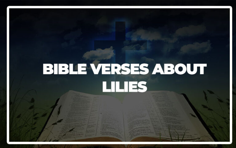 21 Amazing Bible Verses About Lilies - Bible Repository