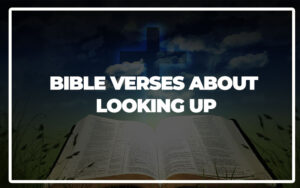 33 Bible Verses About Looking Up - Bible Repository