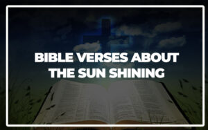 33 Bible Verses About The Sun Shining - Bible Repository