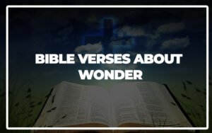 35 Bible Verses About Wonder - Bible Repository